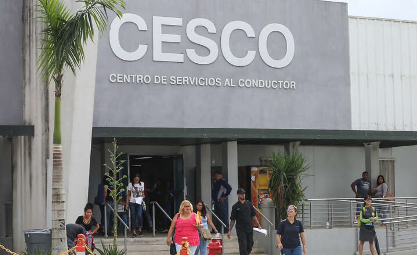 Ciberataque contra el DTOP obliga a la suspensión de servicios en los ...